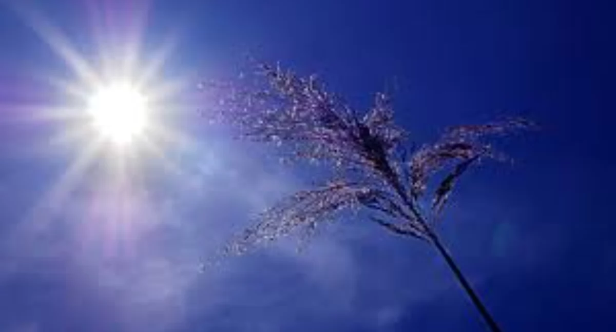 Trzy razy TAK dla takiego tygodnia! [PROGNOZA POGODY] - wiadomości ...